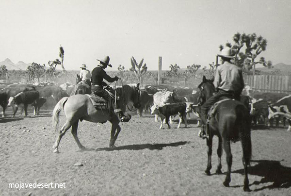 Walking Box Ranch: A Hollywood Legacy in the Mojave